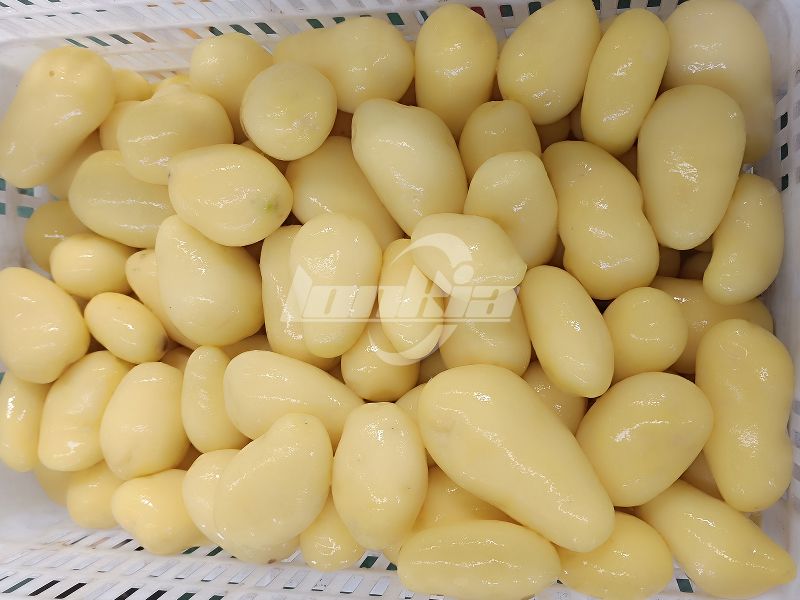 High-Efficiency Potato Steam Peeler for Minimal Peeling Loss - LONKIA ...
