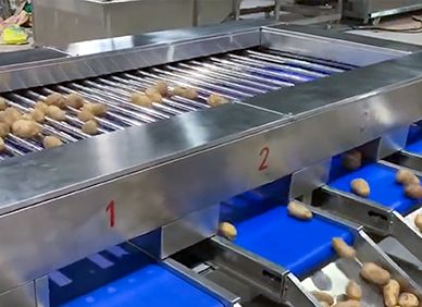 High-Efficiency Potato Grading Machine | Automatic Size Sorter for Potatoes - LONKIA Potato Line