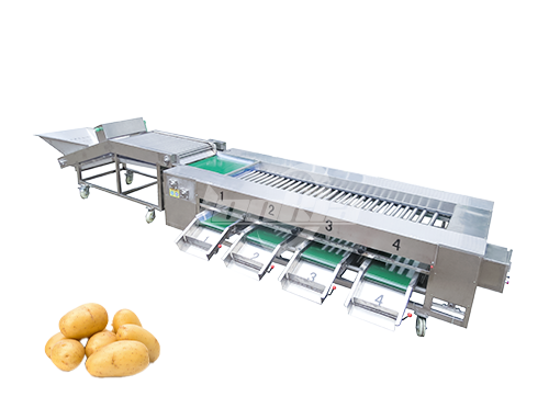 High-Efficiency Potato Grading Machine | Automatic Size Sorter for ...