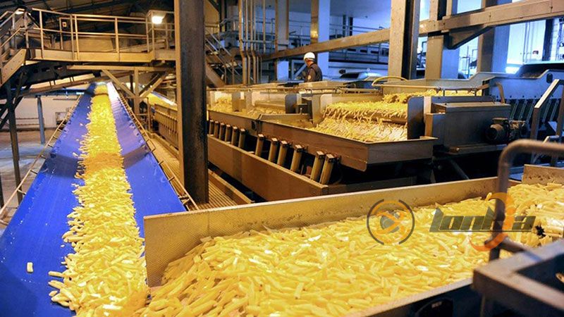 French Fries Production Line for Frozen and Fresh French Fries ...